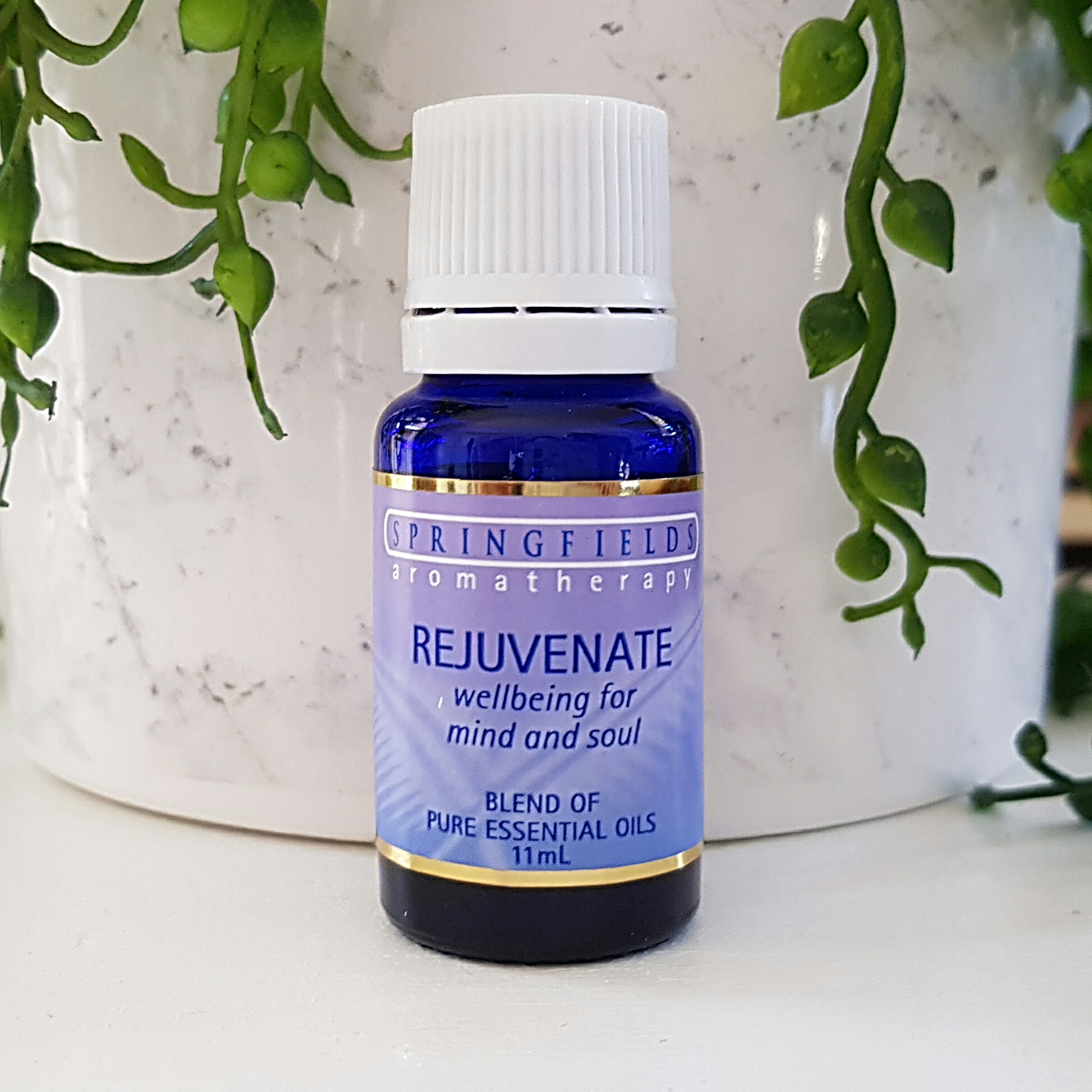 SPRINGFIELDS REJUVENATE 11ML PURE ESSENTIAL OIL - Pretty Unique